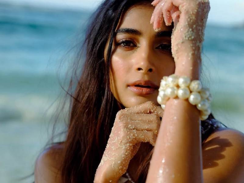 கொஞ்சோ யோசுச்சுருக்கலாம்! உள்ளாடை போடாமல் படுத்து போஸ்! பூஜா ஹெக்டெ வைரல் வீடியோ | MasalaGlitz